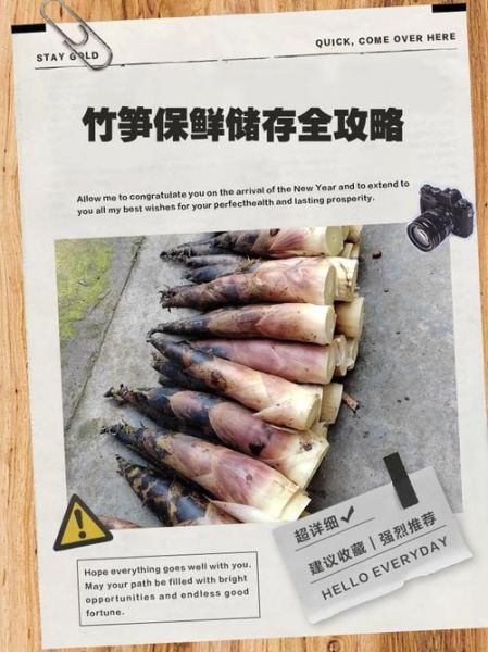 竹笋怎么保存时间最长_竹笋长期保鲜方法-第2张图片-山城妙识 竹笋怎么保存时间最长_竹笋长期保鲜方法-第2张图片-山城妙识