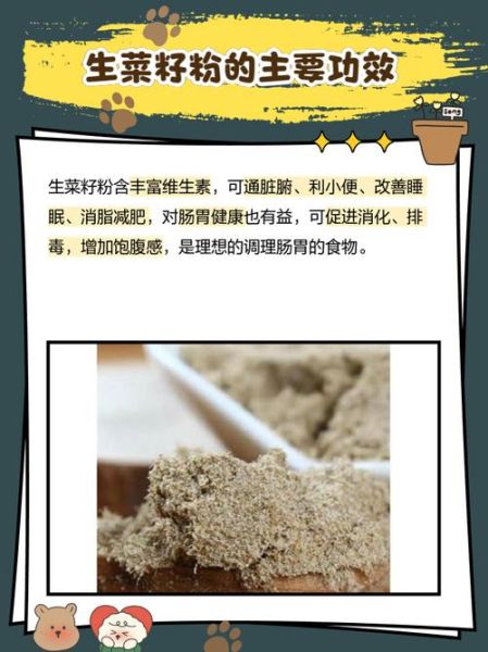 生粉的作用与用途_生粉可以做什么菜-第1张图片-山城妙识 生粉的作用与用途_生粉可以做什么菜-第1张图片-山城妙识
