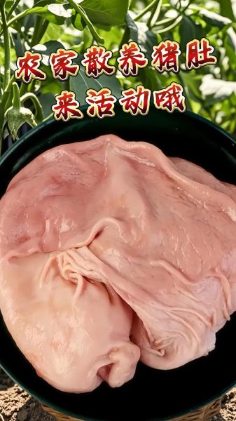 生粉的作用与用途_生粉可以做什么菜-第3张图片-山城妙识 生粉的作用与用途_生粉可以做什么菜-第3张图片-山城妙识