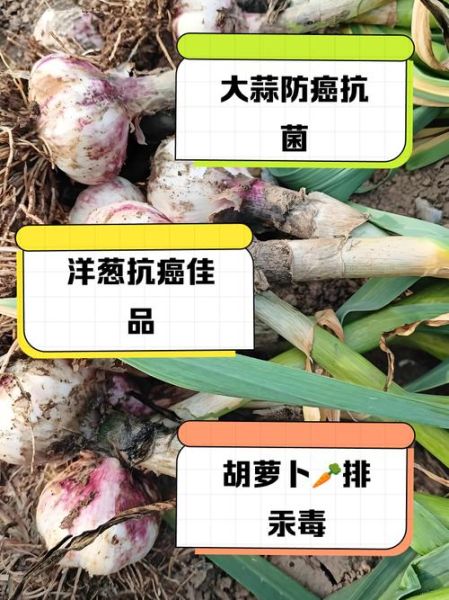 食物中毒吃什么解毒最快_食物中毒后吃什么好得快-第1张图片-山城妙识