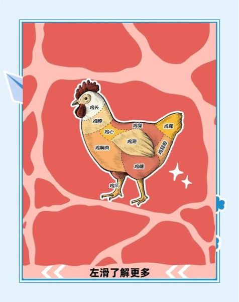 鸡肫读音怎么读_鸡肫是鸡的哪个部位-第2张图片-山城妙识