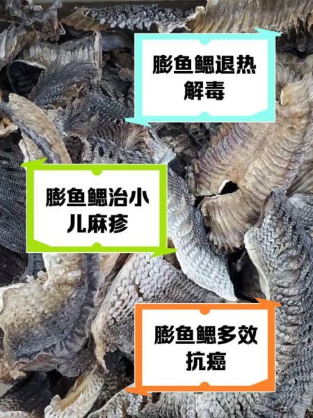 膨鱼鳃煲汤的功效与作用_孕妇可以喝吗-第1张图片-山城妙识