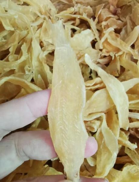 鮸鱼鱼胶的功效与作用_鮸鱼鱼胶怎么泡发-第1张图片-山城妙识