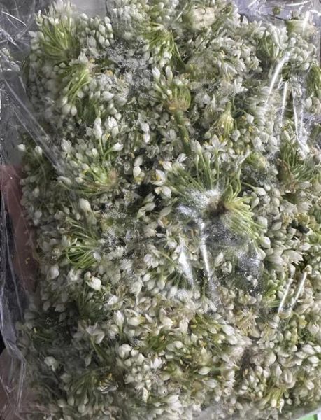 韭菜花酱怎么做_韭菜花酱能保存多久-第3张图片-山城妙识