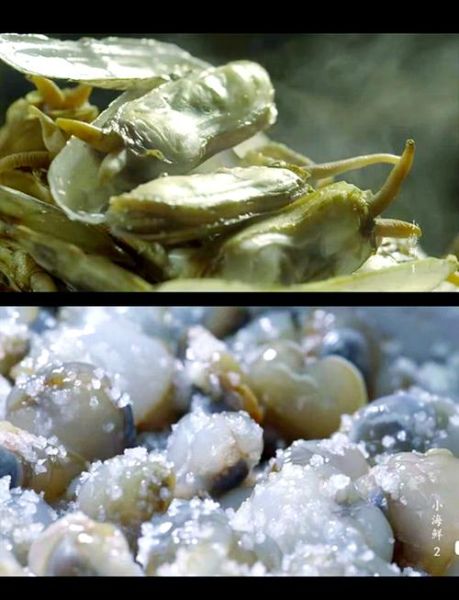 小海鲜纪录片哪里看_小海鲜纪录片讲了什么-第3张图片-山城妙识 小海鲜纪录片哪里看_小海鲜纪录片讲了什么-第3张图片-山城妙识