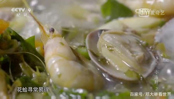 小海鲜纪录片哪里看_小海鲜纪录片讲了什么-第1张图片-山城妙识 小海鲜纪录片哪里看_小海鲜纪录片讲了什么-第1张图片-山城妙识