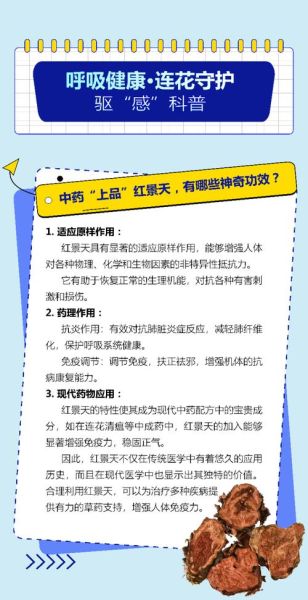 红景天功效与作用_红景天怎么吃效果最好-第3张图片-山城妙识