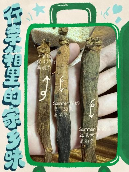 高丽参和红参有什么区别_哪个更好-第2张图片-山城妙识