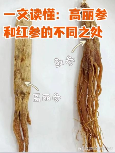 高丽参和红参有什么区别_哪个更好-第1张图片-山城妙识