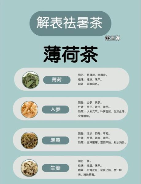 薄荷品种图解_哪种薄荷最适合泡茶-第1张图片-山城妙识 薄荷品种图解_哪种薄荷最适合泡茶-第1张图片-山城妙识