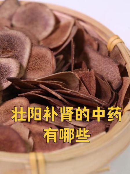 补肾的中药有哪些_肾虚吃什么中药好-第2张图片-山城妙识