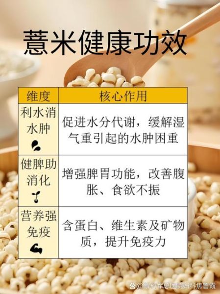薏苡仁的功效与作用_薏苡仁怎么吃最好-第3张图片-山城妙识