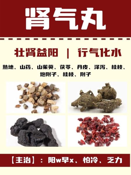 补肾的中药有哪些_肾虚吃什么中药好-第1张图片-山城妙识