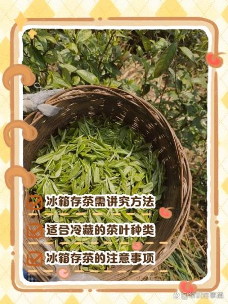 茶叶怎么保存最好_茶叶可以放冰箱吗-第2张图片-山城妙识