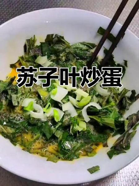 苏子叶怎么吃_苏子叶吃法大全视频-第3张图片-山城妙识