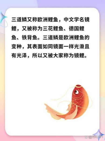 三道鳞多少钱一斤_三道鳞价格行情-第1张图片-山城妙识