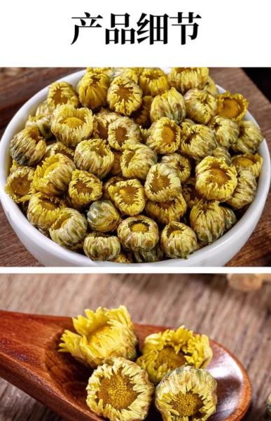 白菊花茶的功效与作用_白菊花茶的禁忌有哪些-第3张图片-山城妙识