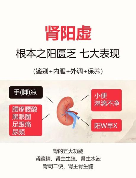 肾阳虚的症状有哪些_肾阳虚怎么调理-第1张图片-山城妙识