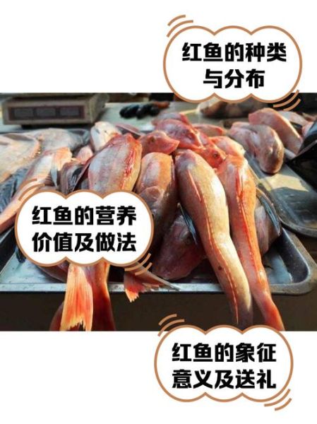 淡水红鱼是什么鱼_淡水红鱼产地在哪里-第1张图片-山城妙识 淡水红鱼是什么鱼_淡水红鱼产地在哪里-第1张图片-山城妙识
