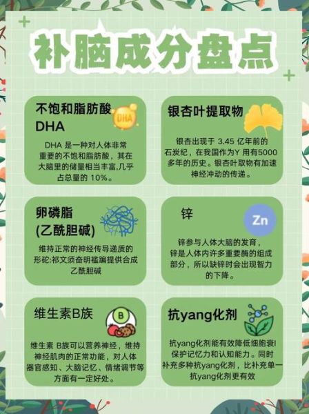 补脑增强记忆力吃什么_学生上班族必备食物清单-第2张图片-山城妙识