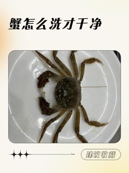 绑着的大闸蟹怎么清洗干净_大闸蟹清洗步骤图解-第3张图片-山城妙识
