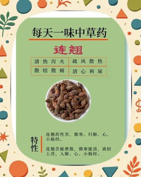 连翘的功效与作用_连翘能治哪些病-第1张图片-山城妙识 连翘的功效与作用_连翘能治哪些病-第1张图片-山城妙识
