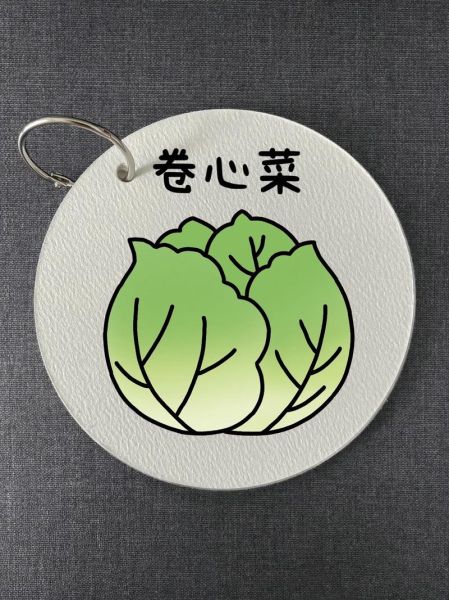 卷心菜简笔画怎么画_卷心菜图片简笔画教程-第1张图片-山城妙识