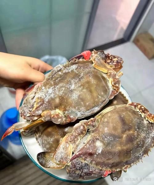 活的梭子蟹放冷藏死了能吃吗_冷藏梭子蟹死亡后多久变质-第3张图片-山城妙识