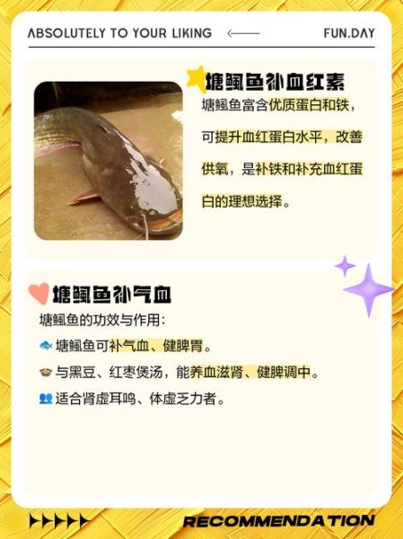 塘鲺鱼怎么做好吃_塘鲺鱼的功效与作用-第1张图片-山城妙识