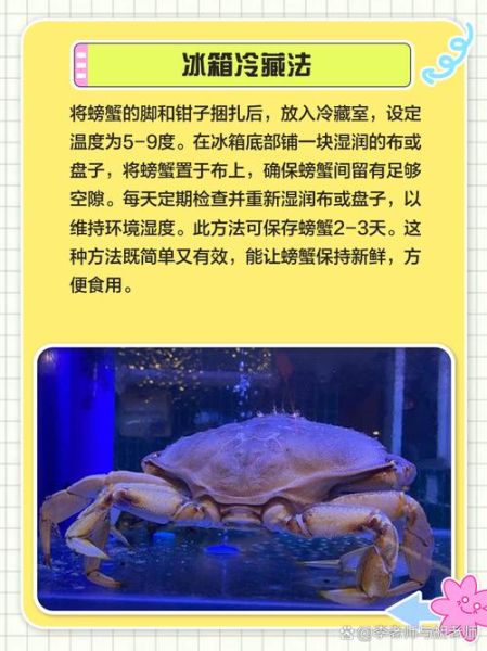 螃蟹怎么保存才新鲜_螃蟹能保存多久-第3张图片-山城妙识 螃蟹怎么保存才新鲜_螃蟹能保存多久-第3张图片-山城妙识