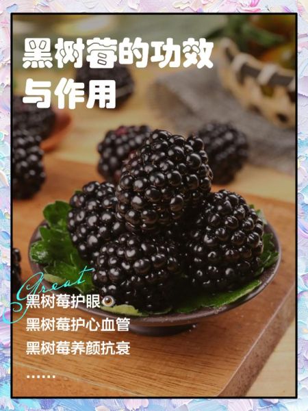 黑树莓怎么吃_黑树莓的正确吃法-第2张图片-山城妙识