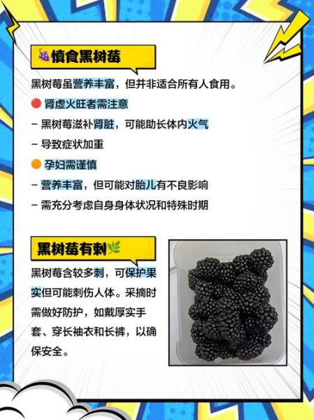 黑树莓怎么吃_黑树莓的正确吃法-第3张图片-山城妙识