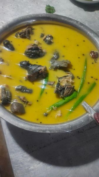 鸡炖水鱼汤的做法_水鱼汤怎么炖才鲜-第3张图片-山城妙识