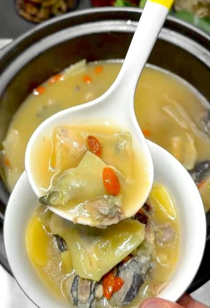 鸡炖水鱼汤的做法_水鱼汤怎么炖才鲜-第1张图片-山城妙识