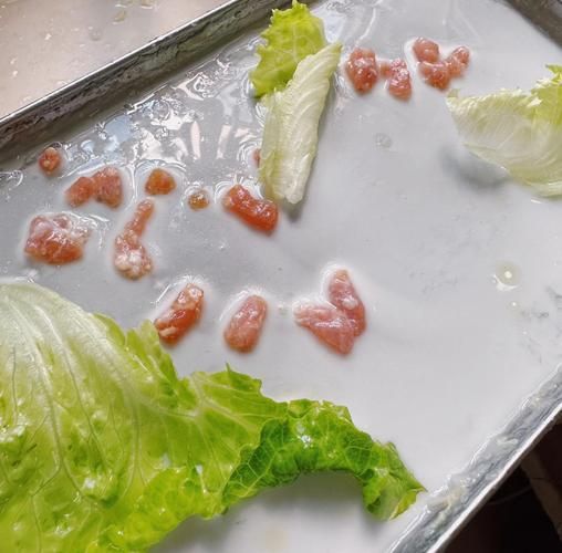 家庭肠粉米浆怎么调_肠粉米浆配方比例-第1张图片-山城妙识