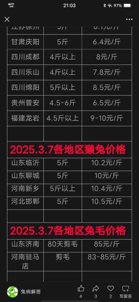 肉兔价格2021最新价格_多少钱一斤-第1张图片-山城妙识