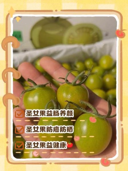 长期吃圣女果的好处_圣女果可以天天吃吗-第1张图片-山城妙识