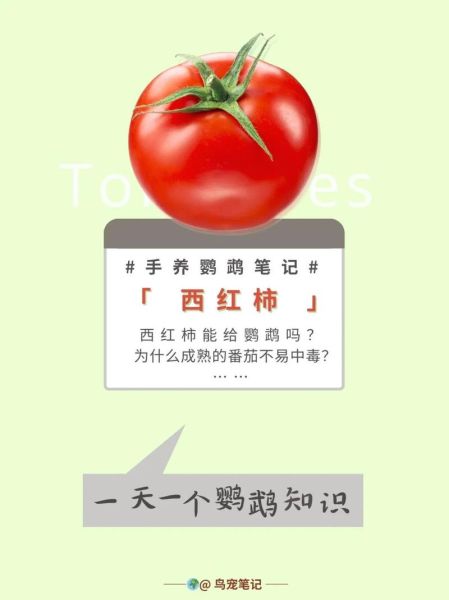 我吃西红柿最新作品出来了吗_2024新书更新时间-第3张图片-山城妙识