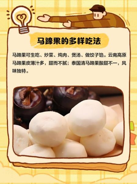马蹄果怎么吃最好吃_马蹄果的做法大全-第2张图片-山城妙识