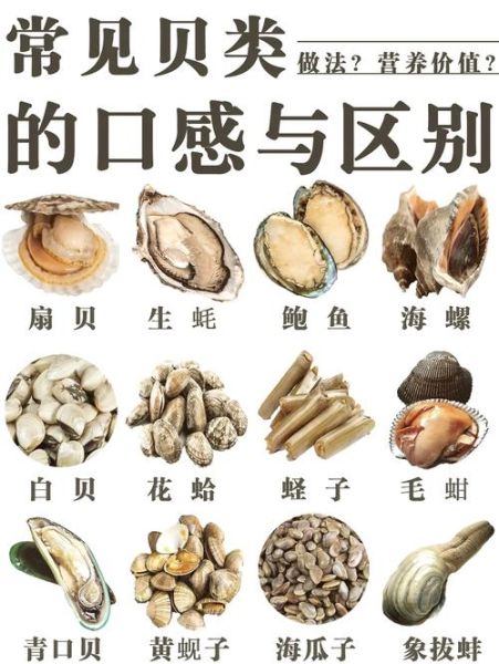 海鲜贝类有哪些_如何挑选新鲜贝类-第1张图片-山城妙识