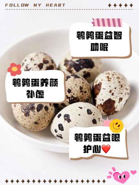 鹌鹑蛋什么人不适合吃_鹌鹑蛋禁忌人群有哪些-第3张图片-山城妙识