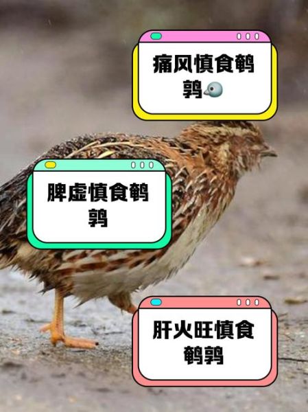 鹌鹑蛋什么人不适合吃_鹌鹑蛋禁忌人群有哪些-第2张图片-山城妙识