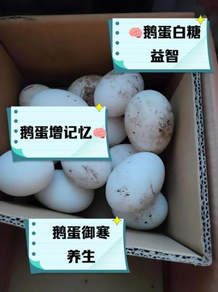 鹅蛋提高记忆力偏方_鹅蛋怎么吃最补脑-第3张图片-山城妙识