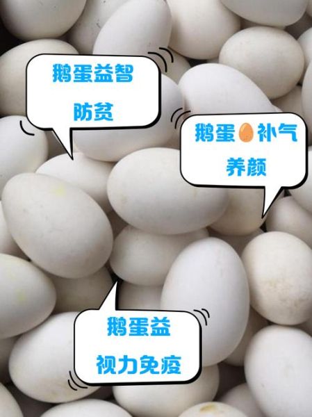 鹅蛋提高记忆力偏方_鹅蛋怎么吃最补脑-第2张图片-山城妙识
