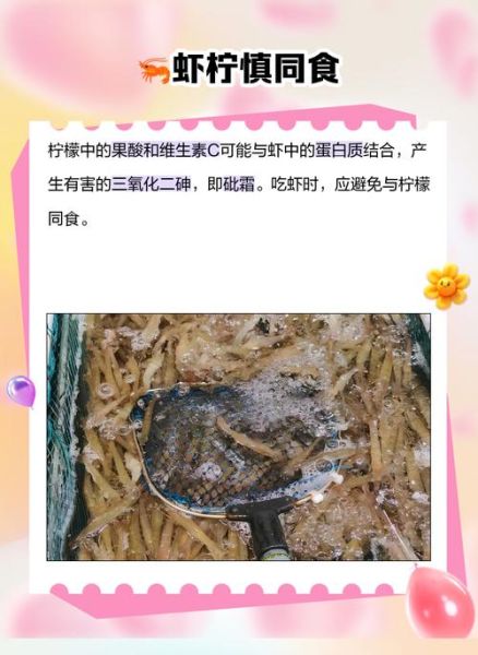 虾和什么相克_虾不能和什么一起吃-第3张图片-山城妙识
