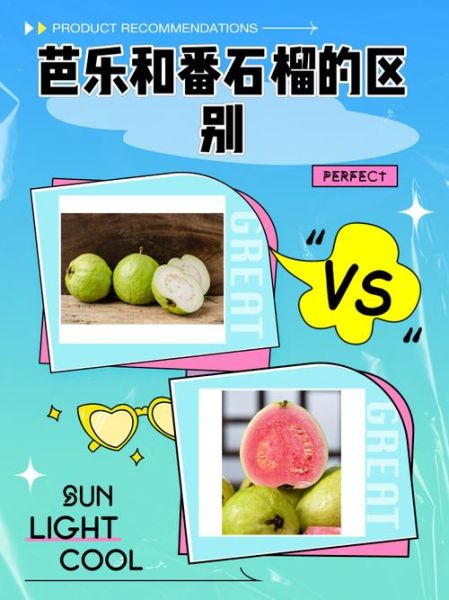 番石榴和芭乐的区别_番石榴和芭乐是同一种水果吗-第1张图片-山城妙识 番石榴和芭乐的区别_番石榴和芭乐是同一种水果吗-第1张图片-山城妙识