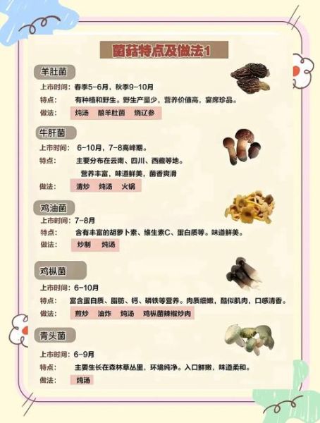 炒熟菌类可以隔夜吃吗_隔夜菌菇安全指南-第1张图片-山城妙识