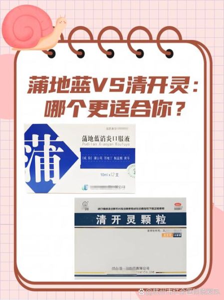 穿心莲和蒲地蓝消炎哪个好_区别与适用人群-第3张图片-山城妙识
