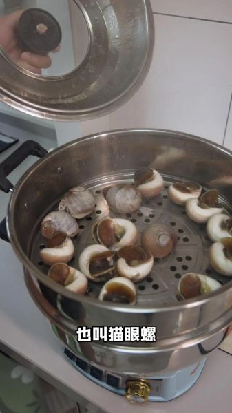 香螺怎么做好吃_香螺的做法大全-第2张图片-山城妙识 香螺怎么做好吃_香螺的做法大全-第2张图片-山城妙识