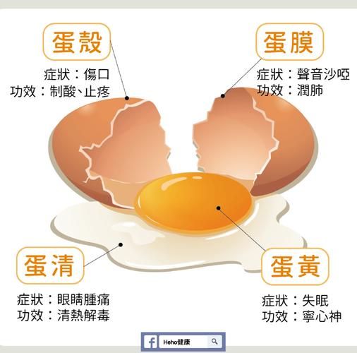 鸡蛋的营养价值有哪些_鸡蛋的功效与作用-第3张图片-山城妙识 鸡蛋的营养价值有哪些_鸡蛋的功效与作用-第3张图片-山城妙识